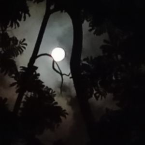 +60326332000 | Check who called you from 03-2633 2000 / +60326332000 / ...